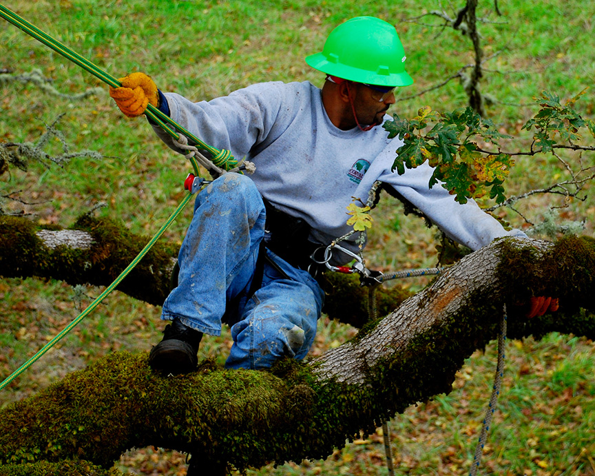 Employment | Corvallis Oregon