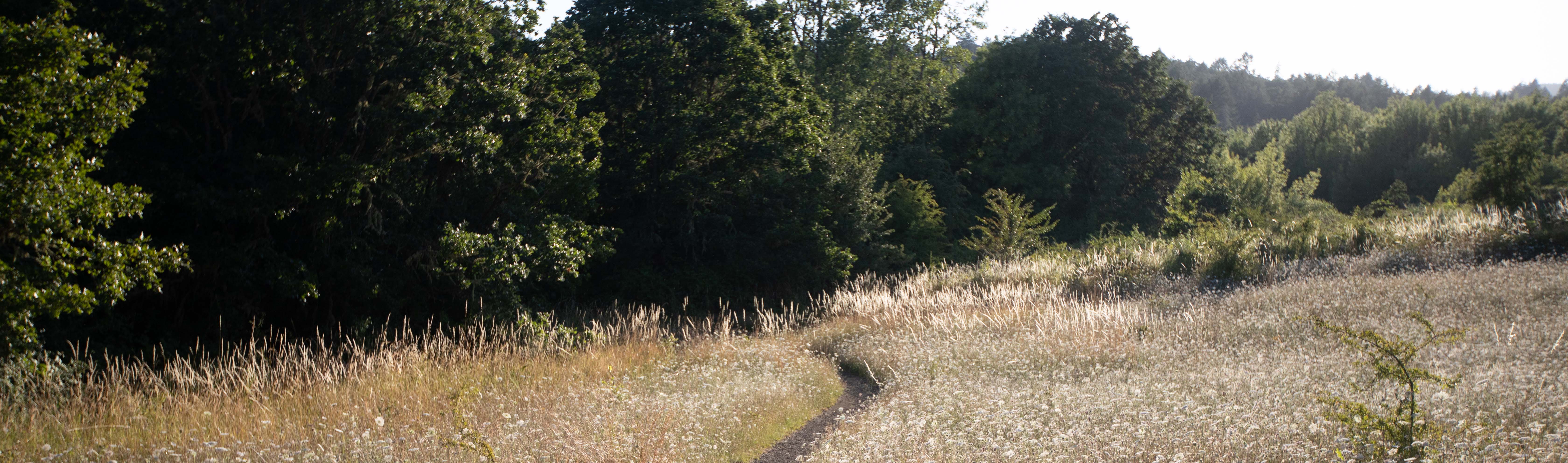 Parks, Forestry, & Natural Areas | Corvallis Oregon