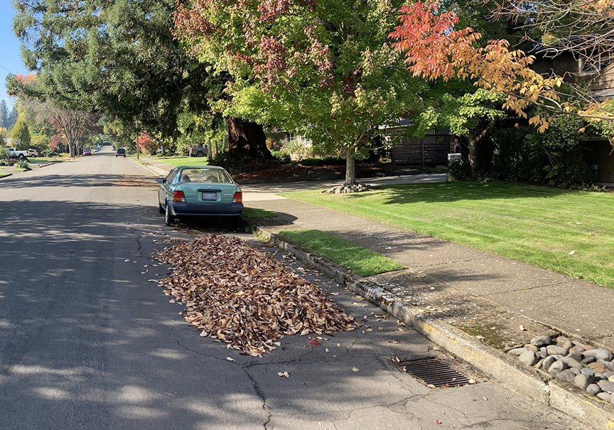 Fall Leaf Collection Program begins October 20, 2025 | Corvallis Oregon