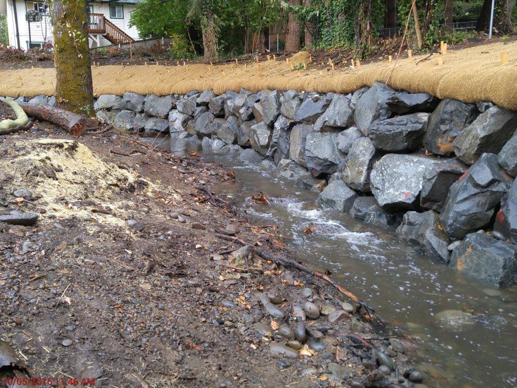 Streamside Plant Grant Program | Corvallis Oregon