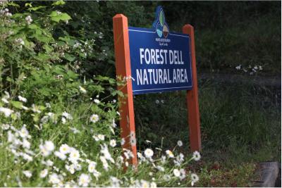 Forest Dell Natural Area | Corvallis Oregon