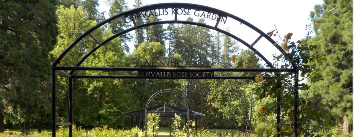 Rose Garden | Corvallis Oregon