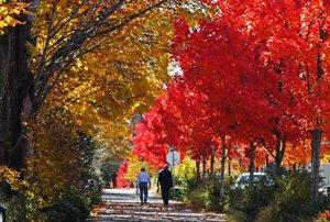 About Corvallis | Corvallis Oregon