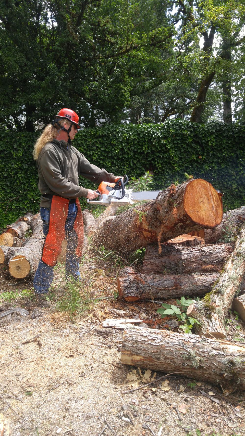 Urban Forestry Staff | Corvallis Oregon