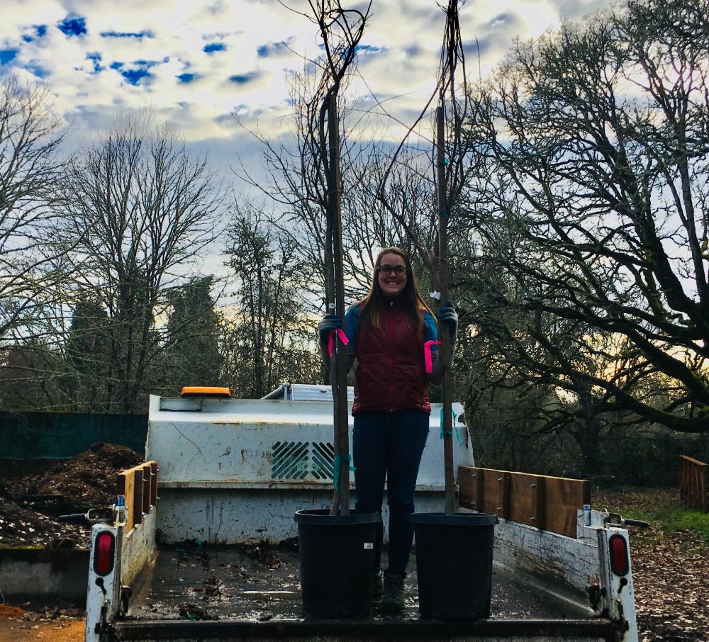 Urban Forestry Staff | Corvallis Oregon