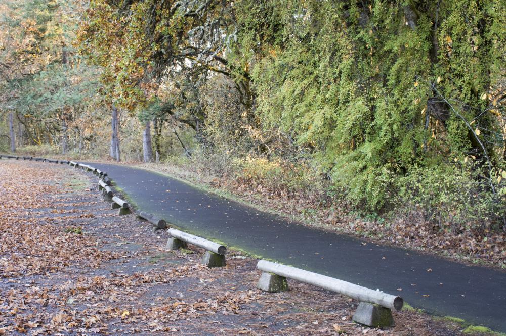 Pioneer Park | Corvallis Oregon