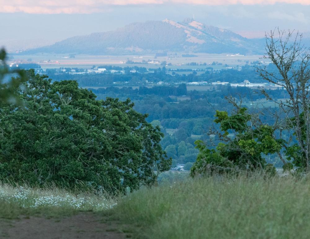 La Historia del Parque Chip Ross | Corvallis Oregon