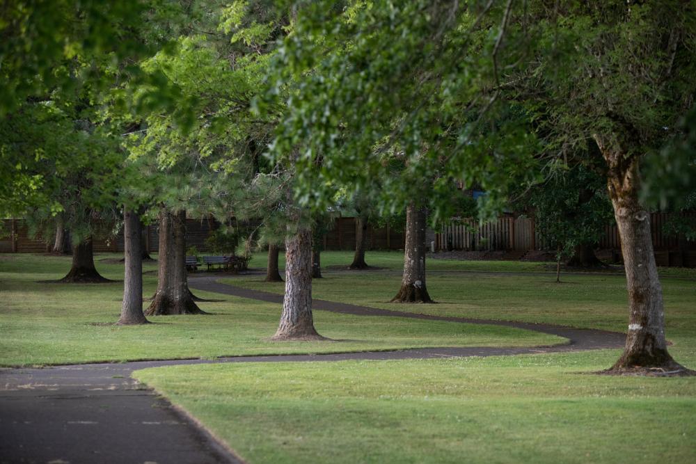 Arnold Park | Corvallis Oregon