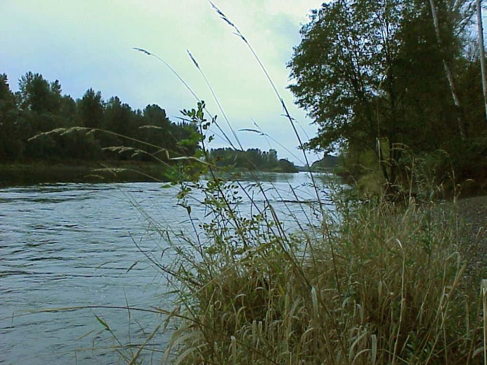 Willamette Park & Natural Area | Corvallis Oregon